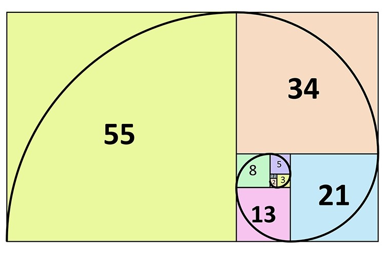 23 Νοεμβρίου: Η ημέρα των αριθμών Fibonacci | Ειδήσεις για την ...