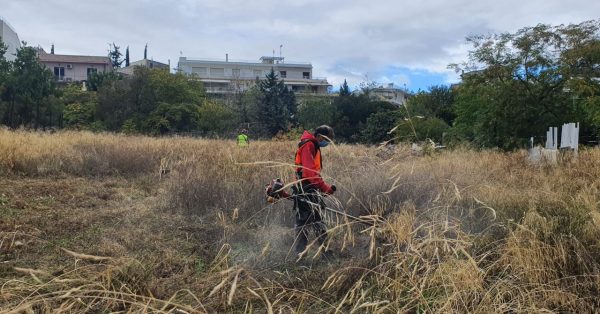 Κουντουριώτικα: Ο Δ. Αθηναίων αποδίδει 6 στρεμματα στους πολίτες ...