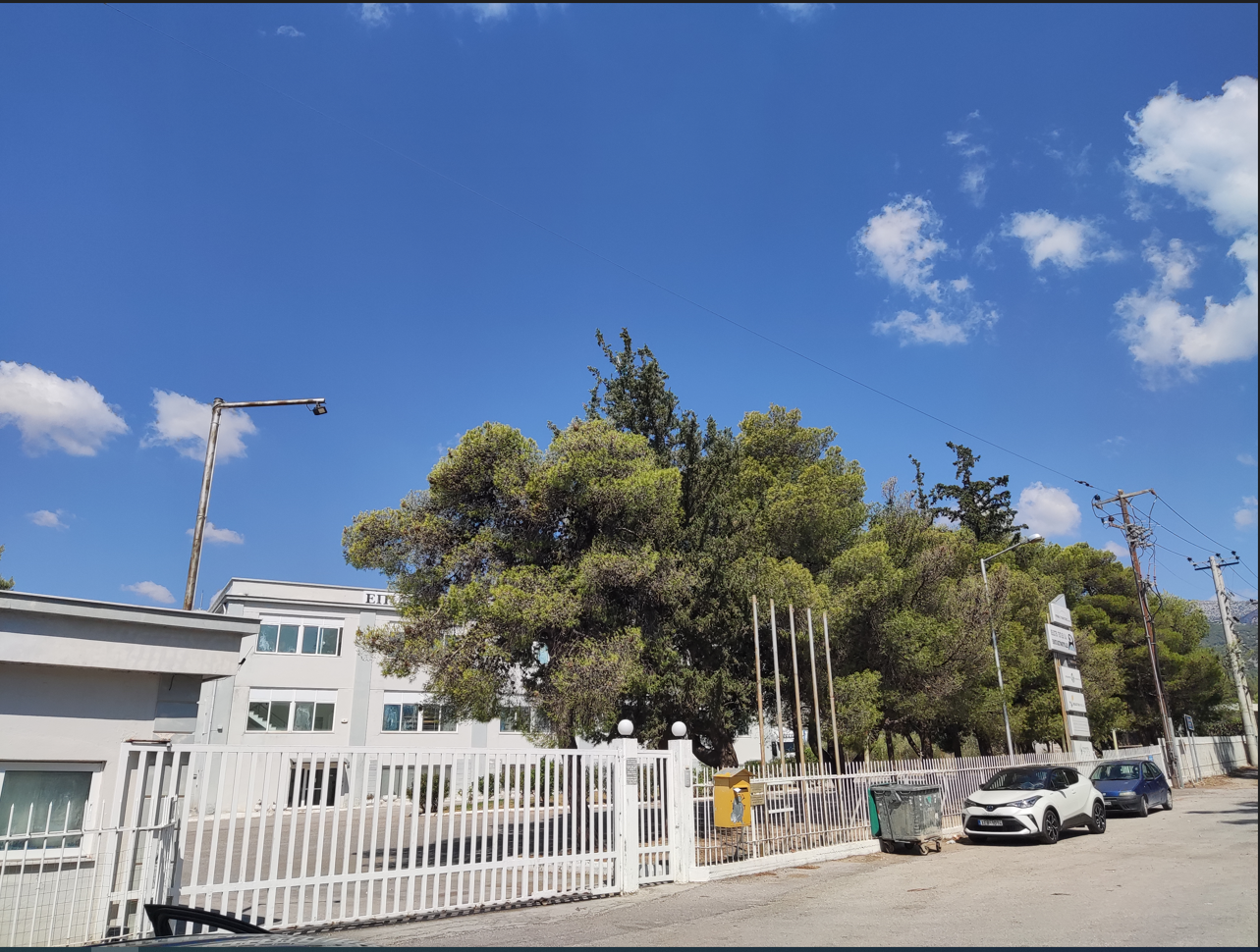 «Κλωστήρια Πλεκτήρια Αθηνών»: Το σφυρί για το ακίνητο στην Πάρνηθα και ...