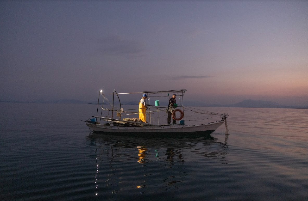 Γιατί η γαρίδα του Αμβρακικού είναι η κορυφαία στον κόσμο – Οι άνθρωποι ...