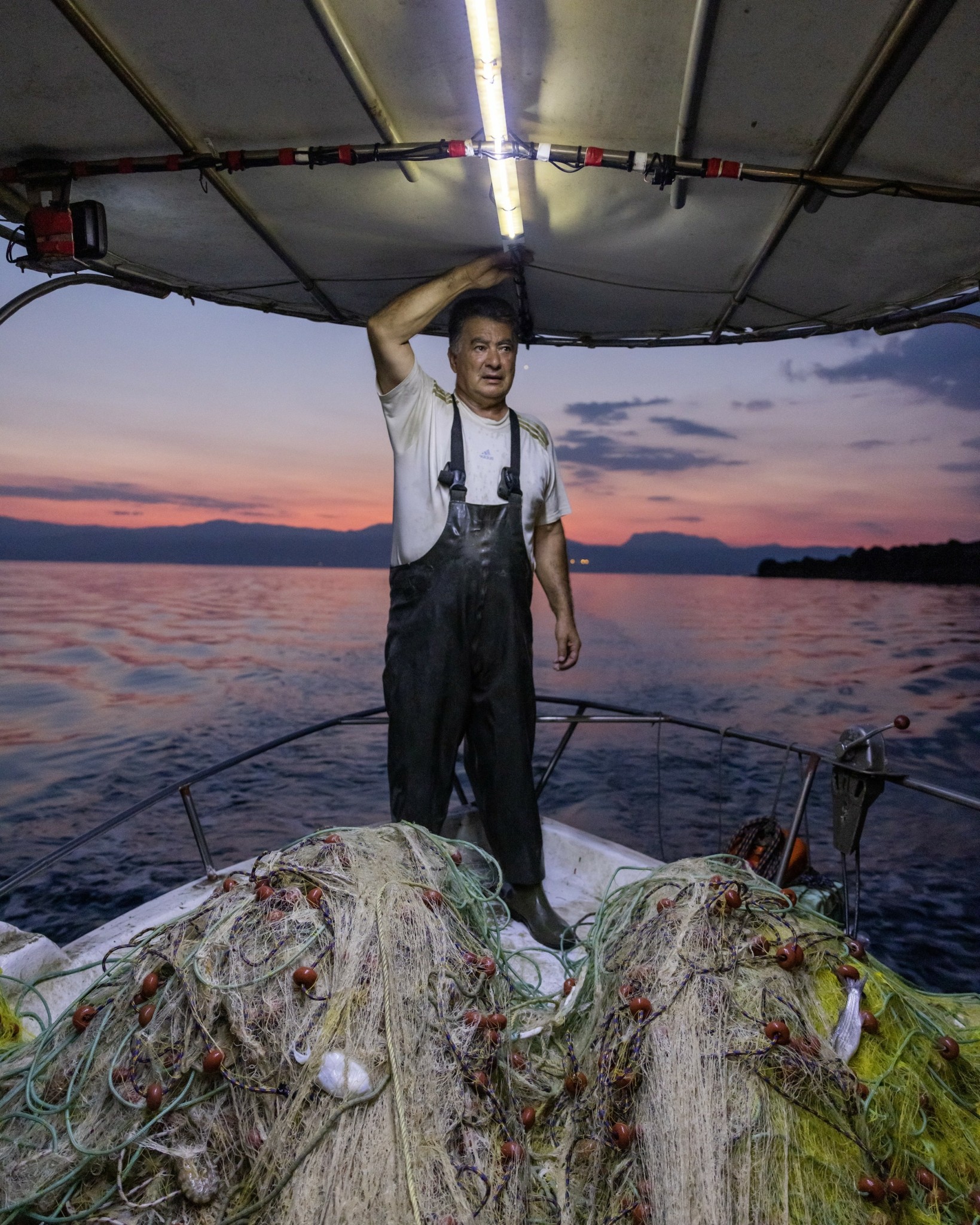 Γιατί η γαρίδα του Αμβρακικού είναι η κορυφαία στον κόσμο – Οι άνθρωποι ...