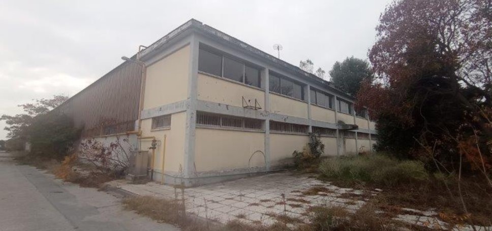 Pilux & Danpex: Η ώρα του σφυριού για την εταιρεία ηλεκτρολογικού ...