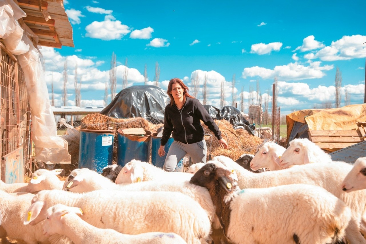 Εφη Λαζαρίδου – «Νέα Γεωργία, Νέα Γενιά»: Το στοίχημα για την ...