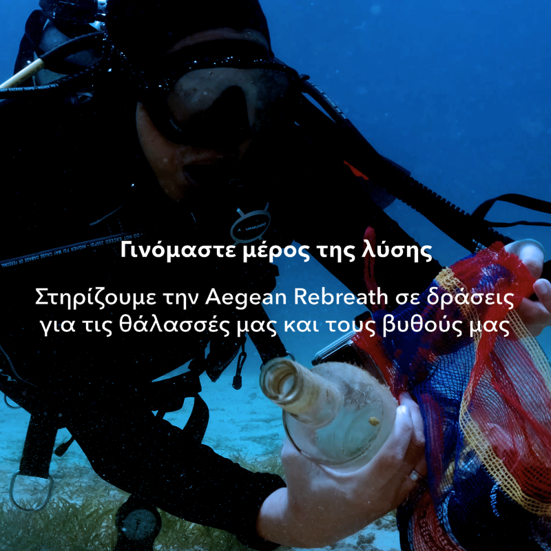 Nova: Συνεργασία με την Aegean Rebreath για την προστασία των ελληνικών ...