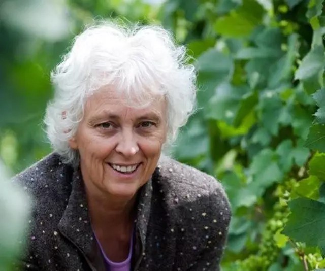 Η ιστορία πίσω από το πιο μυθικό λευκό κρασί στον κόσμο – Παράγονται ...