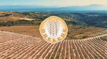 ΟΠΕΚΕΠΕ: Παράταση για την Ενιαία Αίτηση Ενίσχυσης 2025 | Ειδήσεις για ...