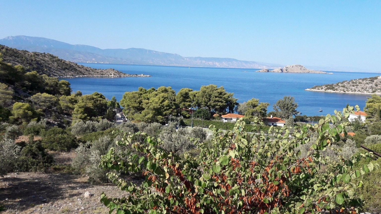 Αλέξανδρος Μανιατόπουλος: Σε κλοιό πλειστηριασμών για προσωπικά ακίνητα ...