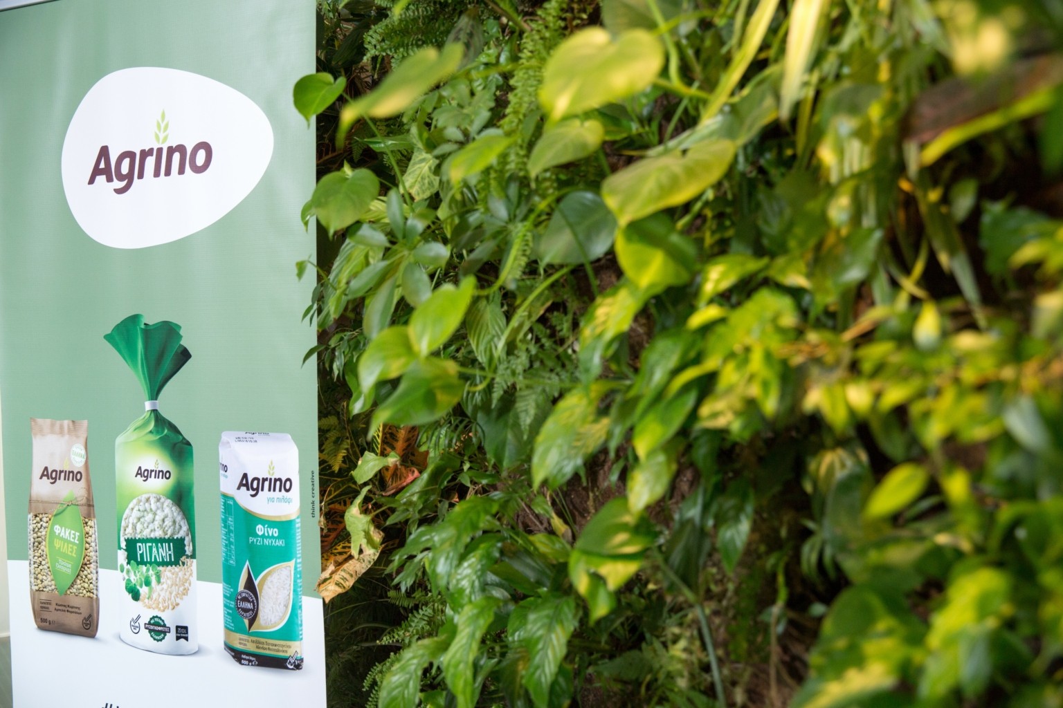 Η ιστορία επιτυχίας τριών νέων από το Αγρίνιο που έμαθαν την Ελλάδα να τρώει ρύζι και κατέκτησαν ...